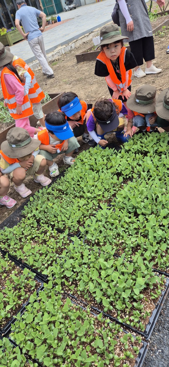 진안군 은천생태마을, 생태학교 운영…어린이 눈높이 맞춘 체험 인기