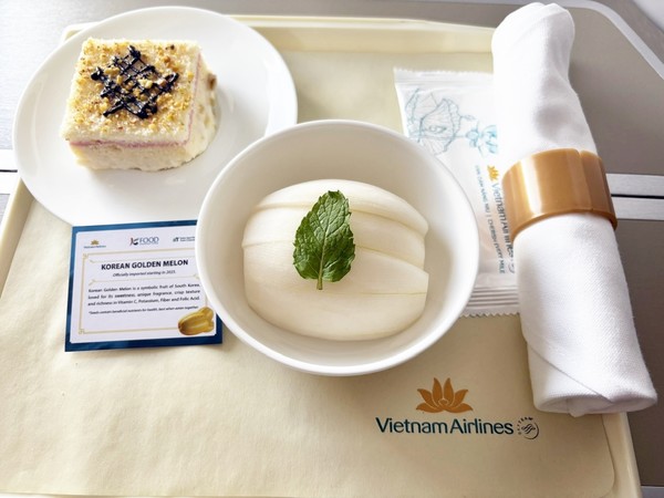 aT, 베트남 하늘길 개척으로 동남아 K-푸드 수출 확대 박차